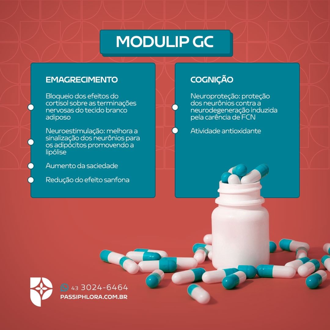 A Passiphlora apresenta o Modulip GC - LondrinaTur, portal de Londrina ...